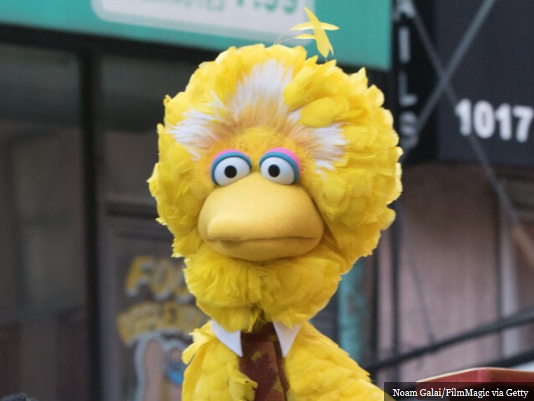 MSNBC Worries the Demise of Big Bird Could Send America’s Children ...