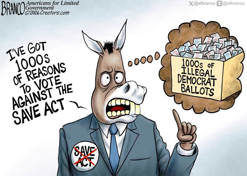 Reasons to Vote Against the Save Act - Common Sense Post